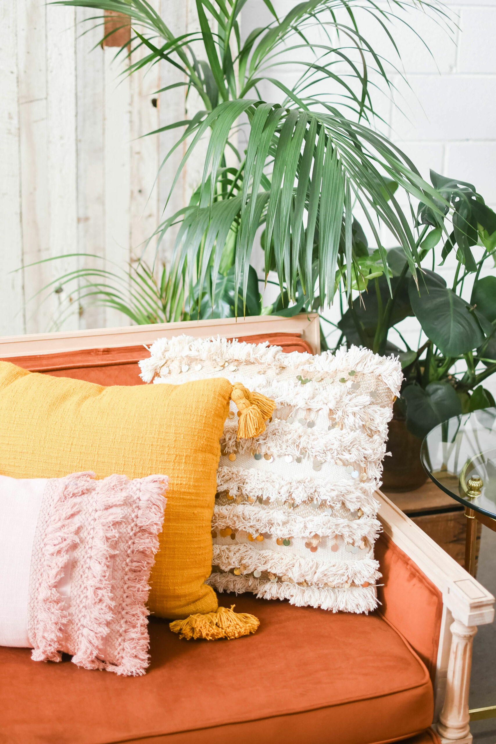 Modern Foliage Designs- Plant Rental in the DMV